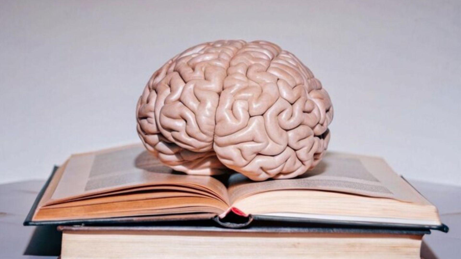 Apa Itu Brain Rot? Mengenal Fenomena Mabuk Konten Negatif dari Medsos ...