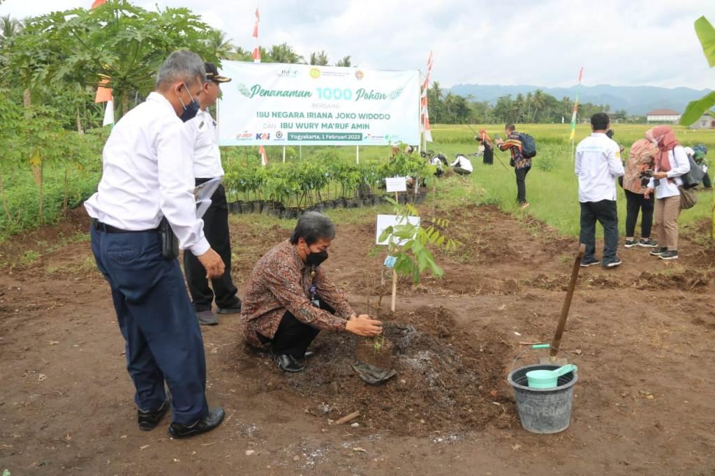 Gerakan Tanam 1.000 Pohon Serentak di 34 Provinsi - Tribunjogja.com