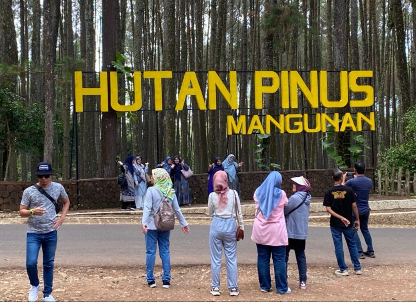 Jelajah Wisata Hutan Pinus Mangunan - Halaman 2 - Tribunjogja.com