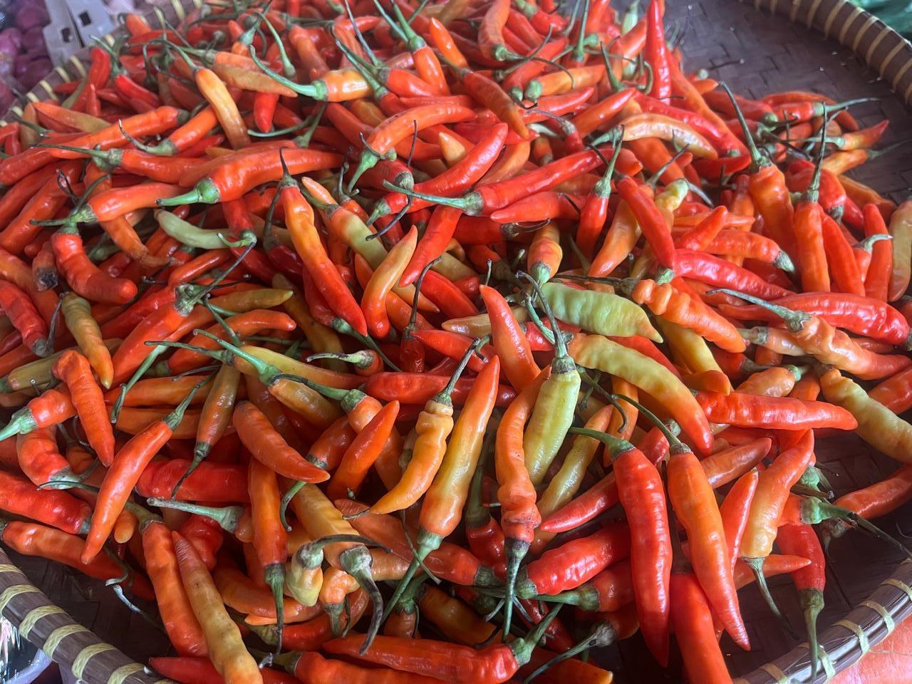 Pascalebaran, Harga Cabai Rawit Merah di Sleman Meroket, Tertinggi Tembus Rp100 Ribu per Kg ...