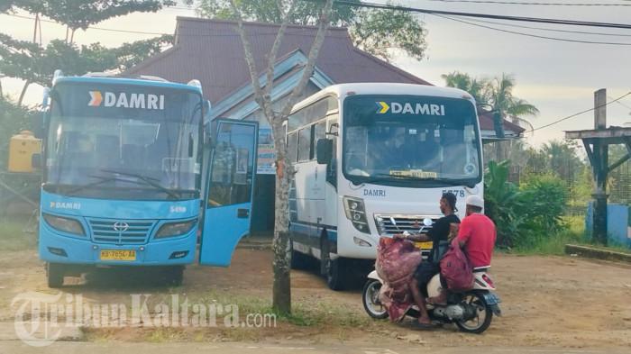 Jadwal Damri Tana Tidung-Tanjung Selor Hari Ini, Lengkap Rute Sekatak ...