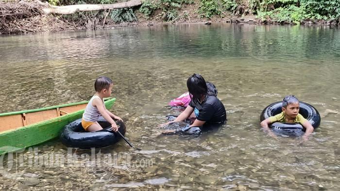 16 Ribu Wisatawan Kunjungi Desa Setulang Malinau, Konservasi Ikan Tane ...