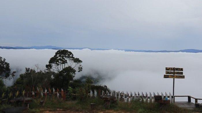Sekilas Tentang Buduk Udan Destinasi Wisata Binaan TNKM, Negeri di Atas ...