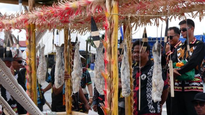 Upacara Adat Napang Nahotom, Tradisi Dayak Tahol Malinau Kaltara Jaga ...