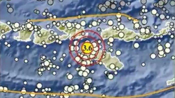 Info Gempa Hari Ini, BMKG: Gempa Getarkan Tambolaka Nusa Tenggara Timur ...