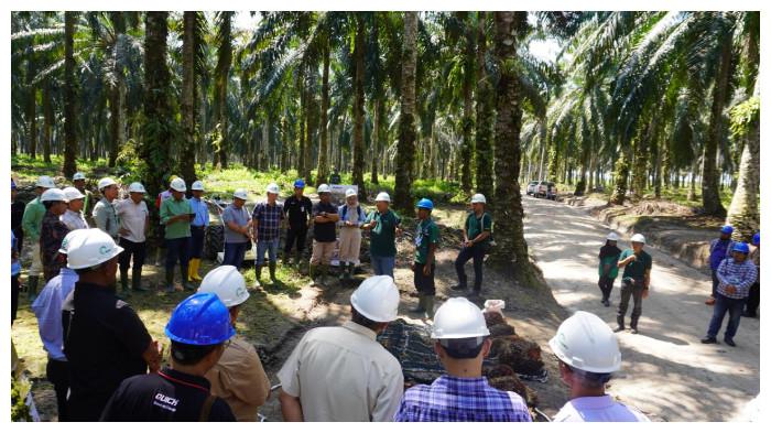 GAPKI Tunjuk PT GSIP Lokasi Benchmark Nasional, Jadi Contoh Mekanisasi ...