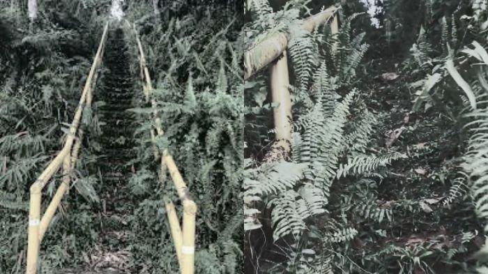 Viral Penampakan Tangga Seribu Balikpapan, Wisata yang Terkenal Angker ...