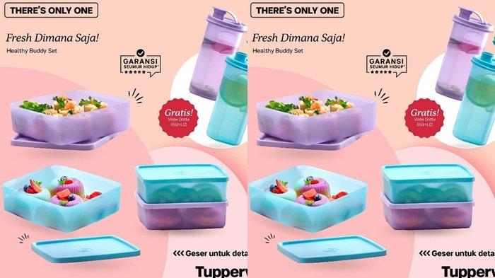 Katalog Promo Tupperware November 2023, Beli 2 Tempat Kue Gratis Botol Minum 650 Mililiter ...