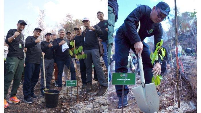 Sejarah 16 Maret: Hari Bakti Rimbawan, Tema Kegitatan Tahun 2024 ...