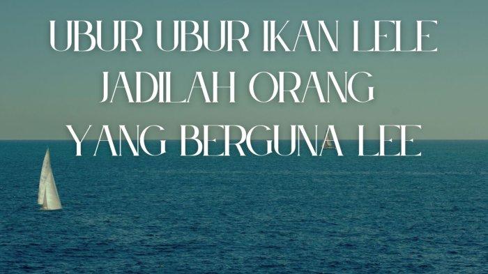 81 Pantun Ubur-ubur Ikan Lele yang Lucu dan Menghibur untuk Caption di Instagram/WhatsApp ...