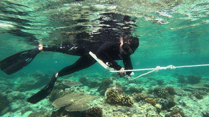 Menuju Era Baru Pengelolaan Kawasan Konservasi Pesisir dan Pulau-pulau ...