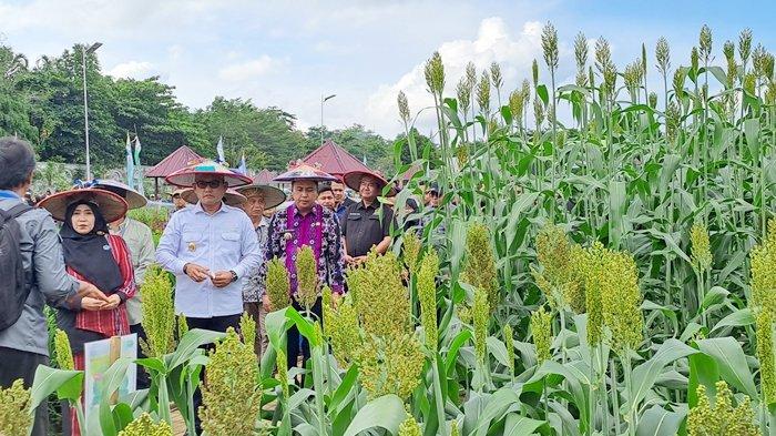 PEDA KTNA ke-XI Kaltim Suksek Digelar, Kubar Layak Jadi Kabupaten Penghasil Pertanian di Kaltim ...