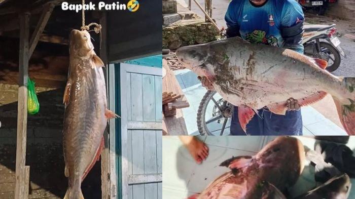 Viral di Medsos, Apa Itu Air Bangar di Sungai Mahakam? Fenomena yang ...