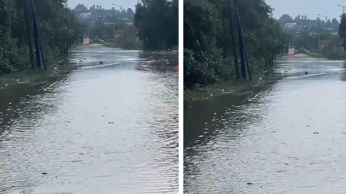 Viral Video Somber Balikpapan Terendam Air Pasang, BMKG Rilis ...