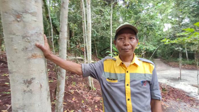 Susur Lokasi Paru-paru Kota, Sensasi Back to Nature di Hutan Kota ...