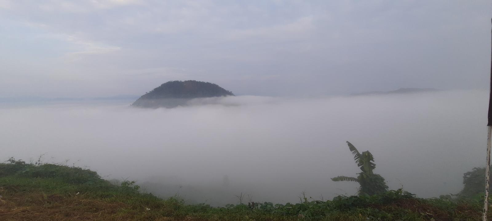 Mengenal Destinasi Wisata Gunung Embun di Paser seperti Negeri di Atas ...