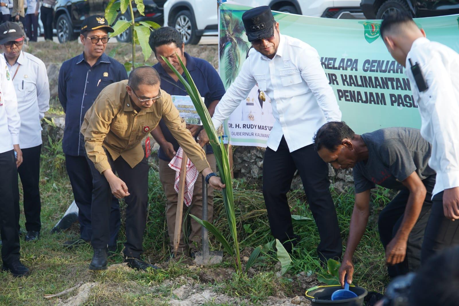 PPU Gandeng Pemprov Sulap Kawasan Pesisir jadi Sentra Kelapa Genjah ...