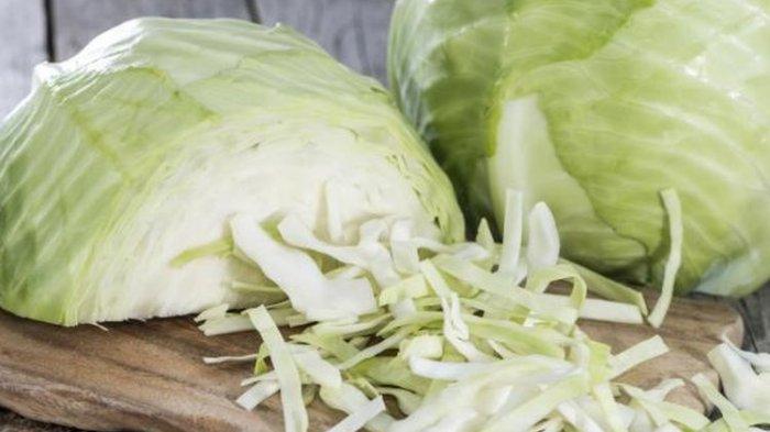 6 Manfaat Kubis bagi Kesehatan: Sayuran Kaya Nutrisi yang Wajib ...