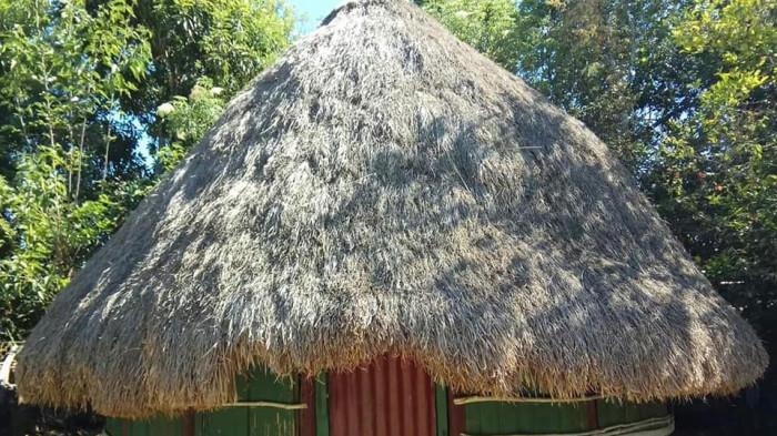 Wisata NTT, Nikmati Pesona Keindahan Fatumnasi, Ada Penginapan Lopo ...