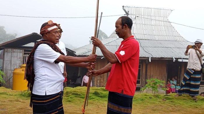 Ritual Adat Tu Tau Pana Manu: Tradisi Tolak Bala di Desa Nuamuri Barat ...