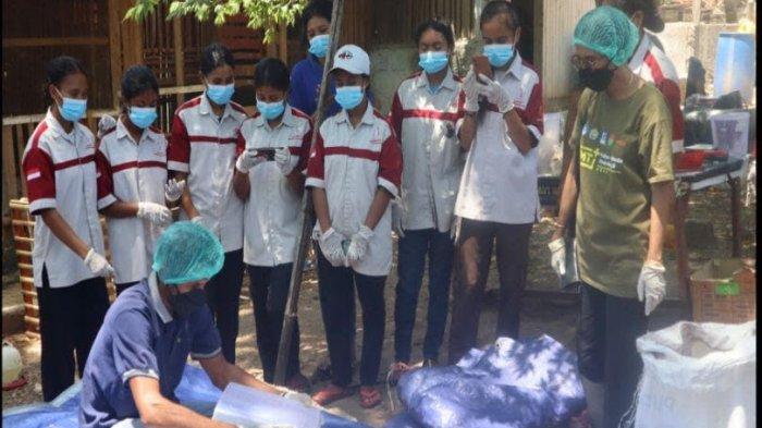 Program Inovokasi 2024, Politani Kupang Damping P4S Afro Farm Siap ...