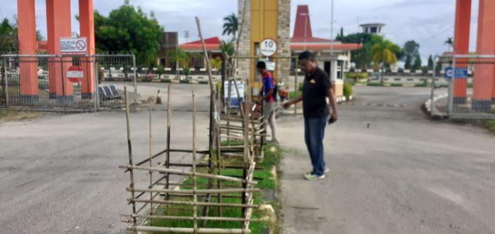 Tanaman Bunga Mati di Jalan Raya Bandara Tambolaka, DLH SBD Minta Warga ...
