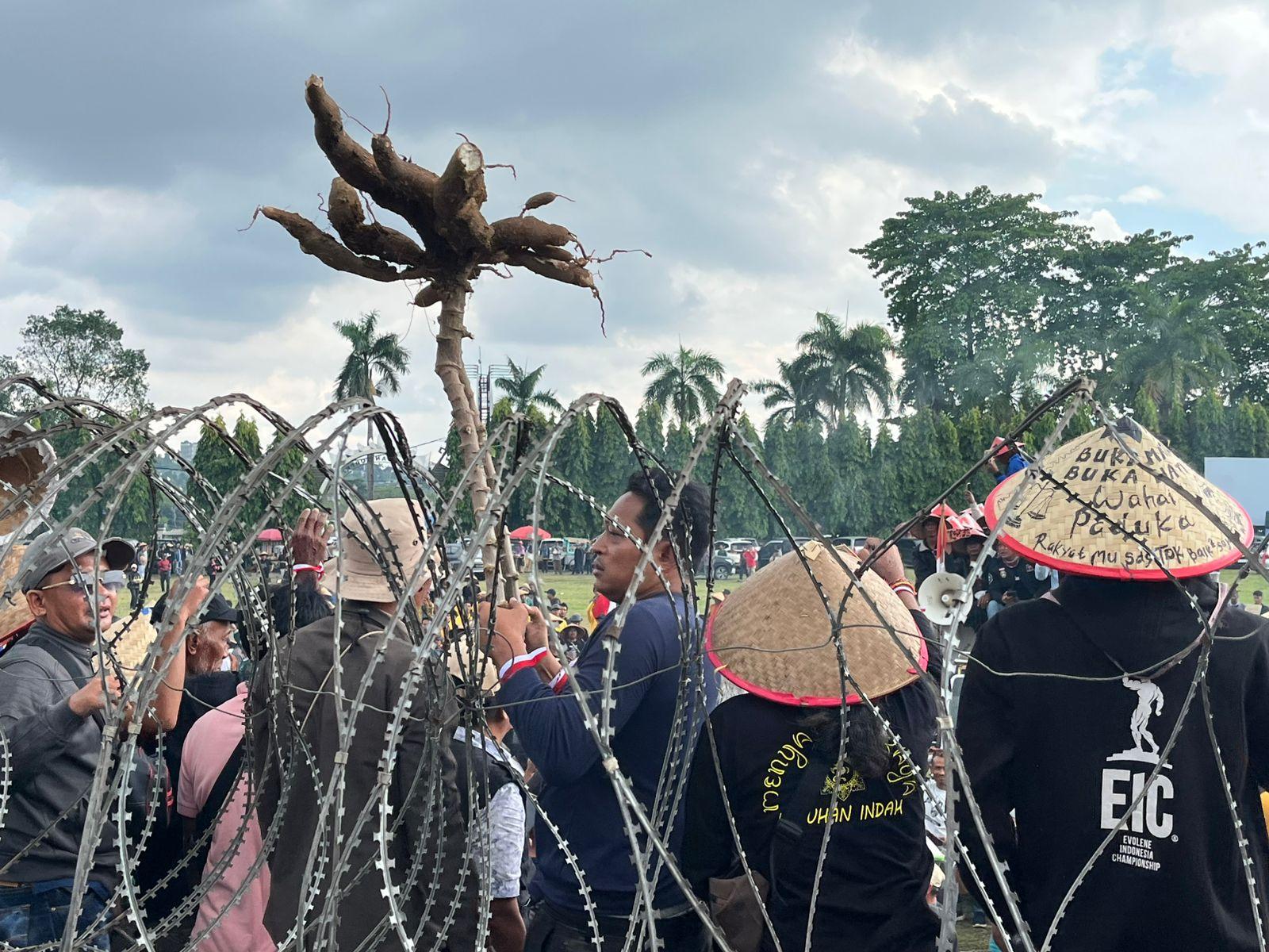Banyak Pabrik Tapioka di Lampung Tutup, Menteri Pertanian Panggil ...