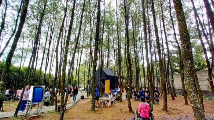 Tempat Wisata di Bandung, Ngopi Seru di Hutan Pinus - Halaman all ...