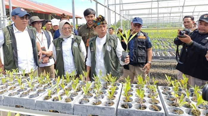 Menhut Raja Juli Siapkan Program Agroforestri di Mandalika Agar Hutan Tak Dibabat untuk Tanam ...