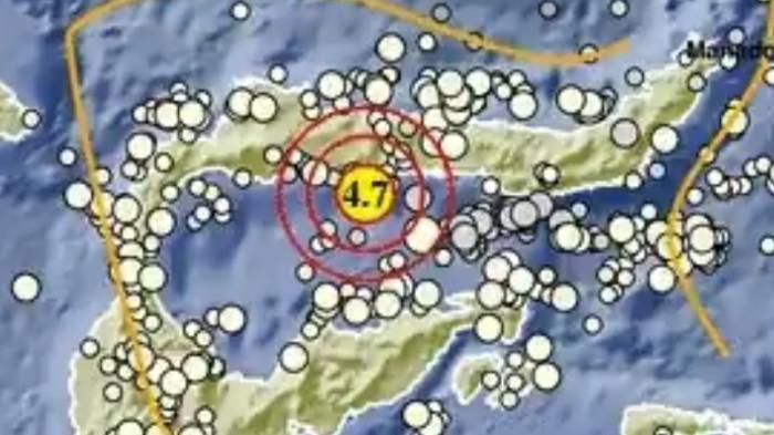 Gempa Bumi di Gorontalo Senin 4 Agustus 2025, Info BMKG Magnitudo 4,7 - Halaman 1 - Tribunmanado ...