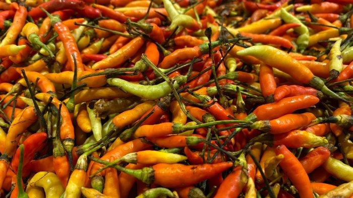 Harga Rica di Pasar Swalayan Manado Sulawesi Utara Melonjak, Rp 86 Ribu ...