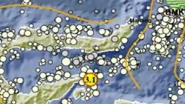 Gempa Bumi Guncang Sulawesi Kamis 28 Agustus 2025, Gempanya Baru Saja Terjadi Siang Ini ...