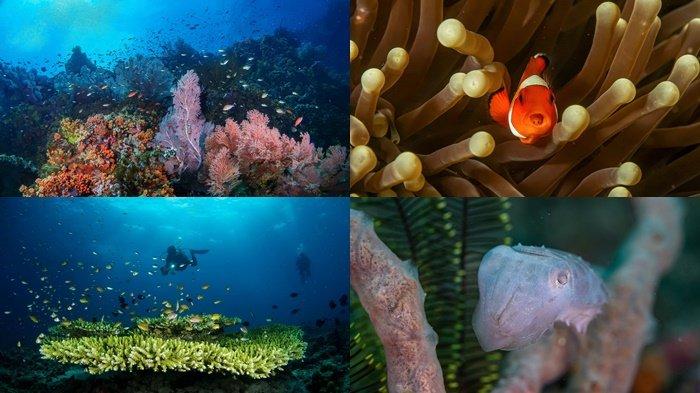 Objek Wisata di Pulau Lembeh Bitung Sulawesi Utara, Ada Spot Foto ...