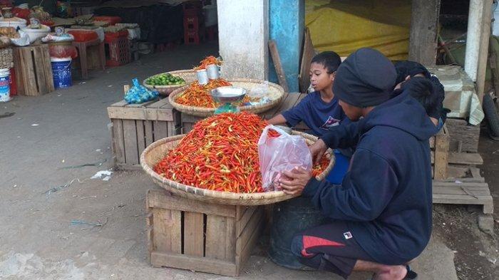 Harga Rica di Kotamobagu Sulut Turun, Rica Makassar Jadi Alternatif Lebih Murah, Dijual Segini ...