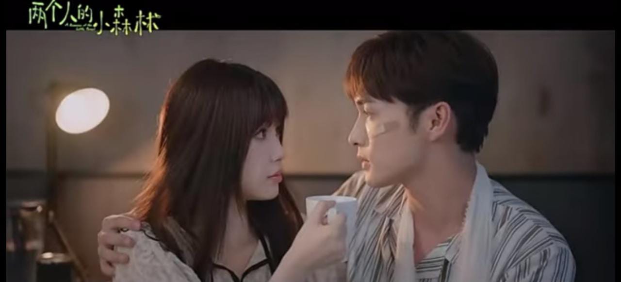 Sinopsis Drama China Baru September 2022 A Romance of the Little Forest ...