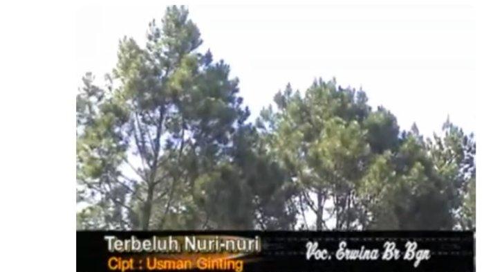 Lirik Lagu Karo Terbeluh Nuri-Nuri, Dipopulerkan Erwina Br Bangun - Halaman all - Tribun-medan.com