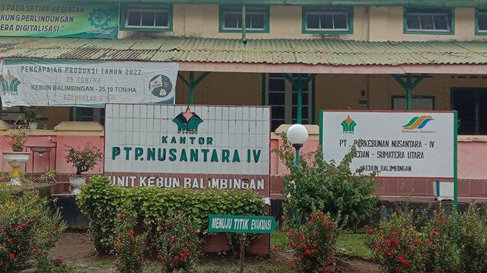 Kisah Kakek 84 Tahun, Penggarap Pertama Lahan PTPN IV Kebun Balimbingan ...