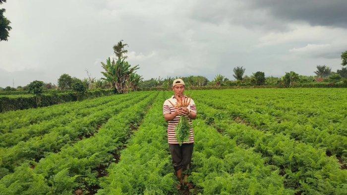 Nilai Tukar Petani Provinsi Sumatera Utara Naik 0.83 Persen di Bulan ...