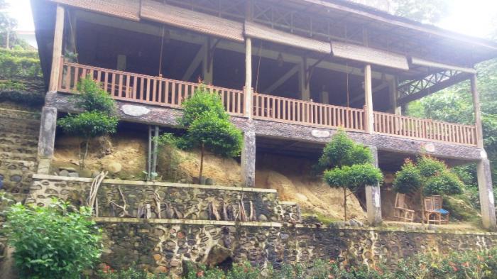 Rasakan Sensasi Menginap Hotel di Tengah Hutan - Tribun-medan.com