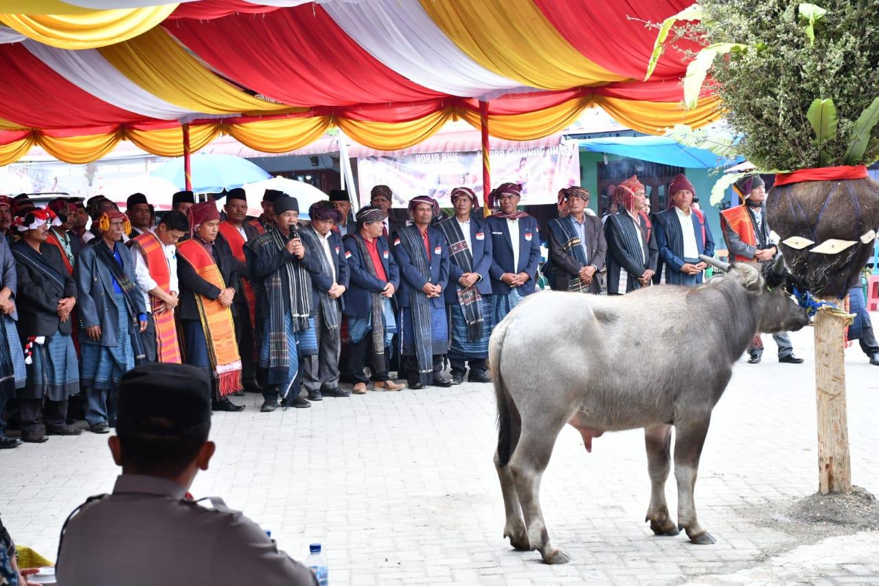 Mengenal Tradisi Mangalahat Horbo, Diperlihatkan dalam Event ...