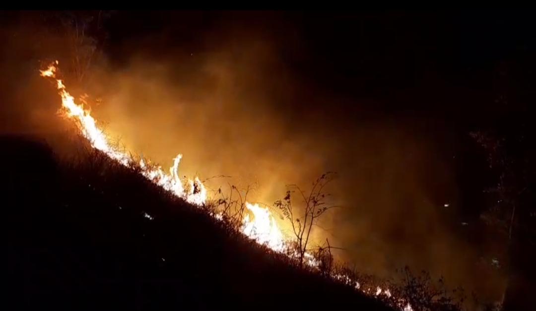 Karhutla Terjadi di Tongging dan Samosir, BMKG: Potensi Cuaca Panas di ...