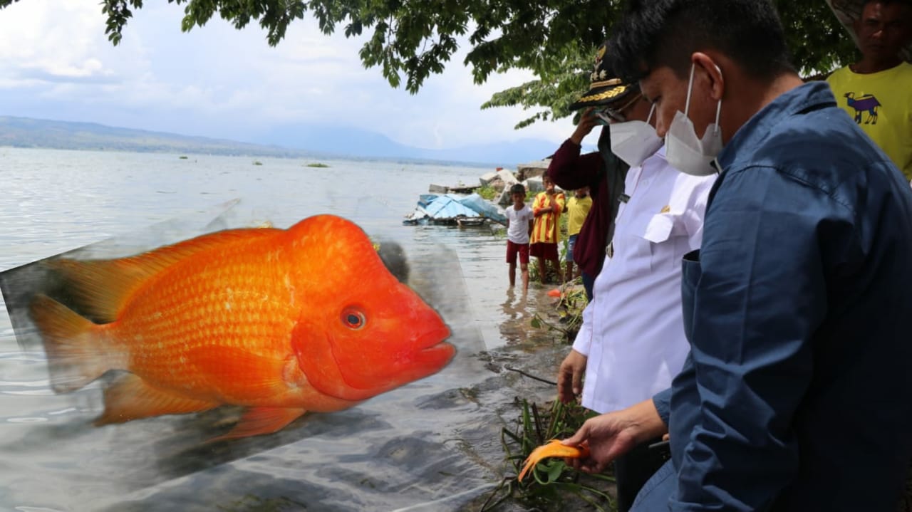 Pakar Ungkap Fakta Ikan Iblis (Setan) yang Ada Danau Toba Ternyata ...