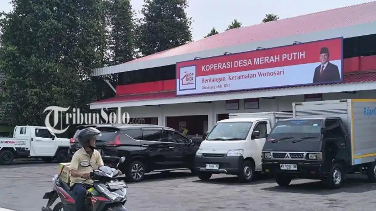 Alfamart dan Indomaret Terancam Ditutup Imbas Koperasi Merah Putih ...