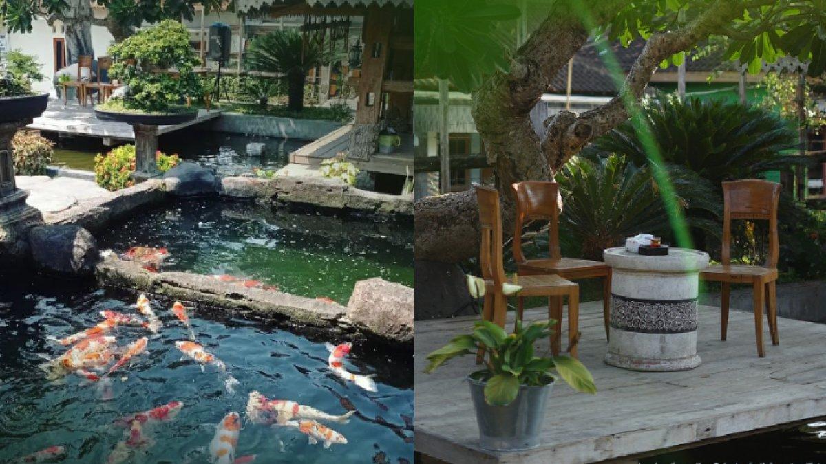 5 Tempat Makan Estetik di Klaten Jateng, Pemandangan Sawah Hijau yang ...