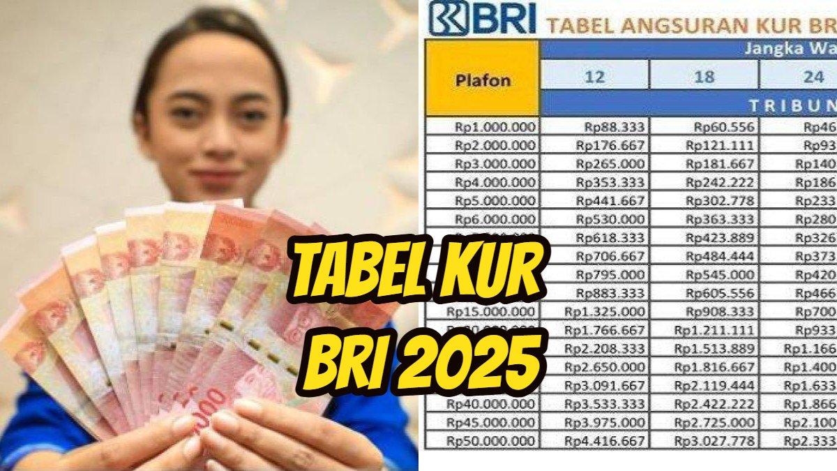 Tabel KUR BRI 2025 Terbaru, Mulai Februari Segini Angsuran Cicilan Per Bulan Pinjaman Rp 100 ...
