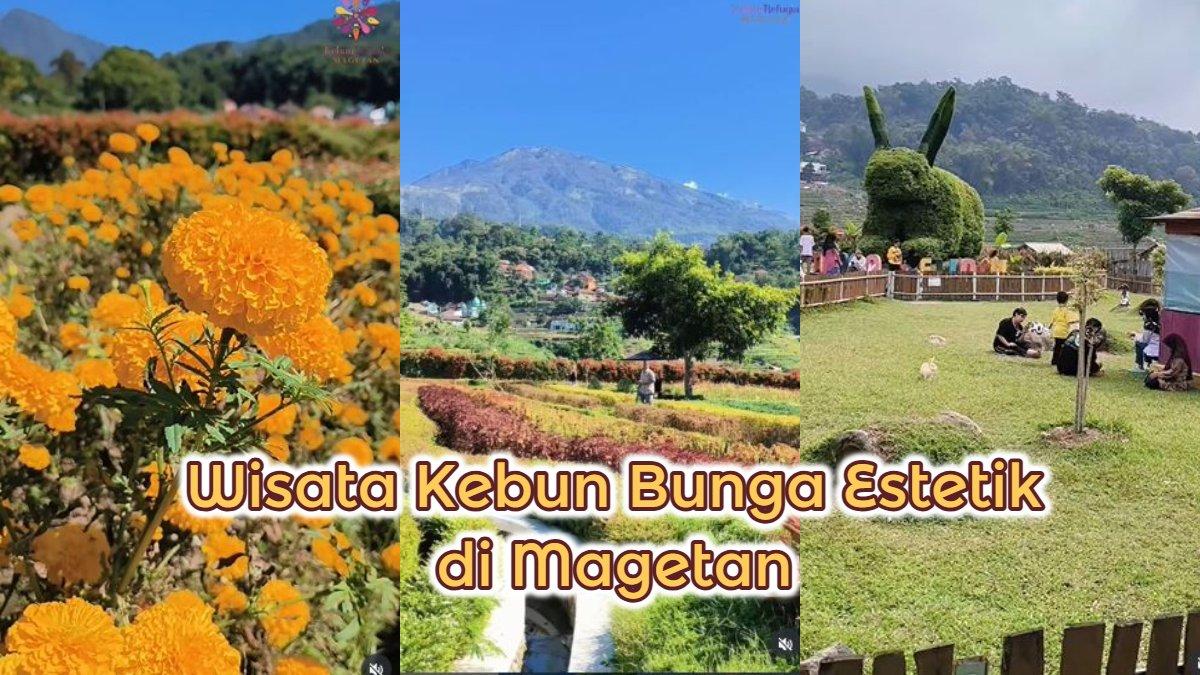 Magetan Jatim Punya Wisata Kebun Bunga Estetik Buat Refreshing, HTM Rp5 ...