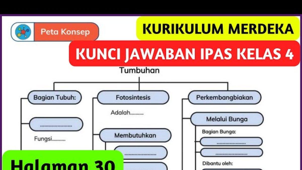 Kunci Jawaban IPAS Kelas 4 SD Halaman 30 Semester 1 Kurikulum Merdeka ...