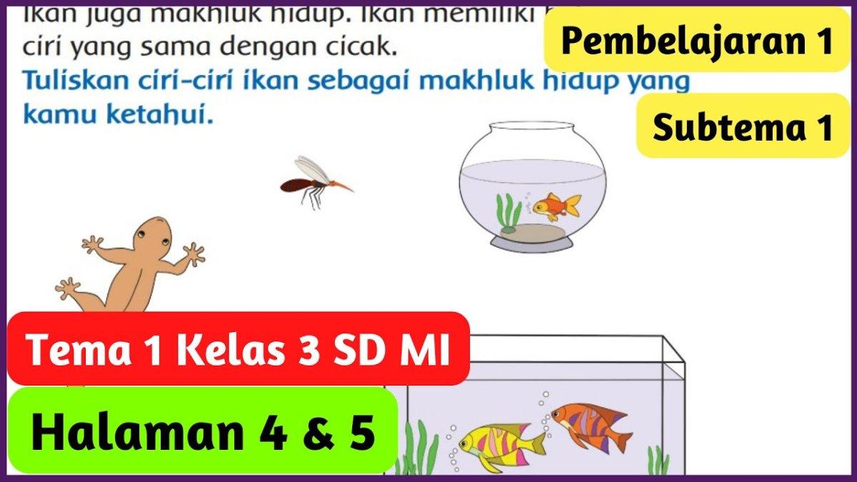 KUNCI JAWABAN Tema 1 Kelas 3 SD Hal 4-5: Bagaimana Ciri - ciri Ikan Sebagai Makhluk Hidup ...