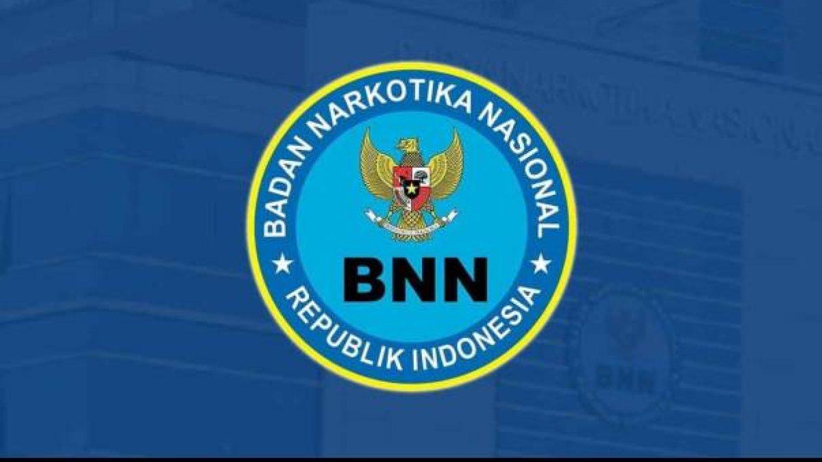 BNN Hulu Sungai Selatan Buka Lowongan Kerja 2024, Usia 30 Tahun Boleh ...