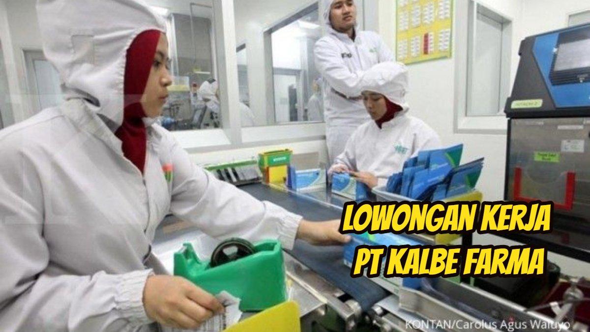 3 Posisi Utama Dibutuhkan, PT Kalbe Farma Buka Lowongan Kerja 2024 di ...